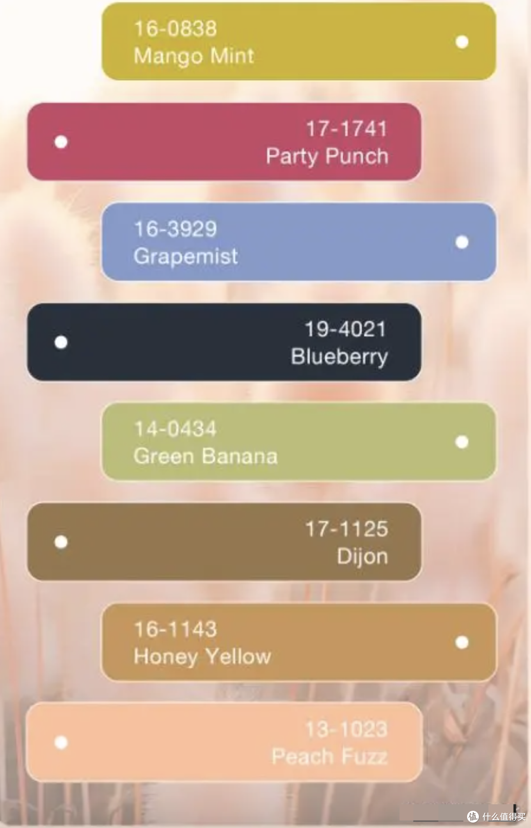 Pantone公布2024年度代表色：🍑柔和桃（Peach Fuzz）_女装_什么值得买