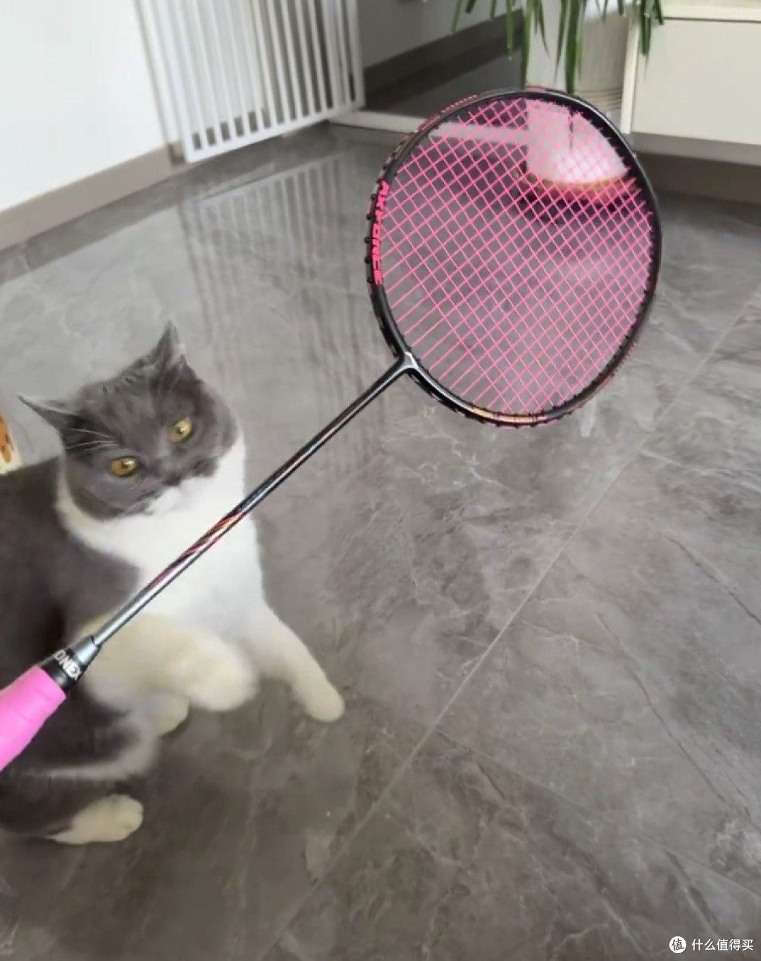 战戟8000、雷霆80、小隼、雷霆90NEW四款羽毛球拍对比评测与选购指南_羽毛球拍_什么值得买