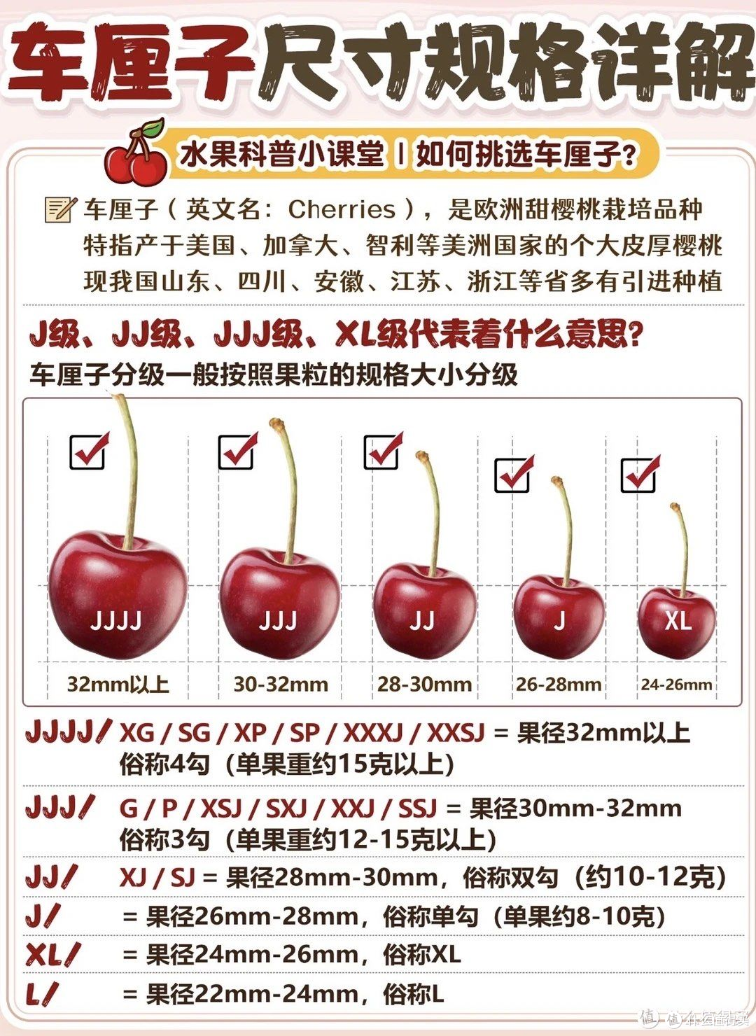 车厘子的4J标签撕下印着2JD｜车厘子尺寸规格详解_车厘子/樱桃_什么值得买